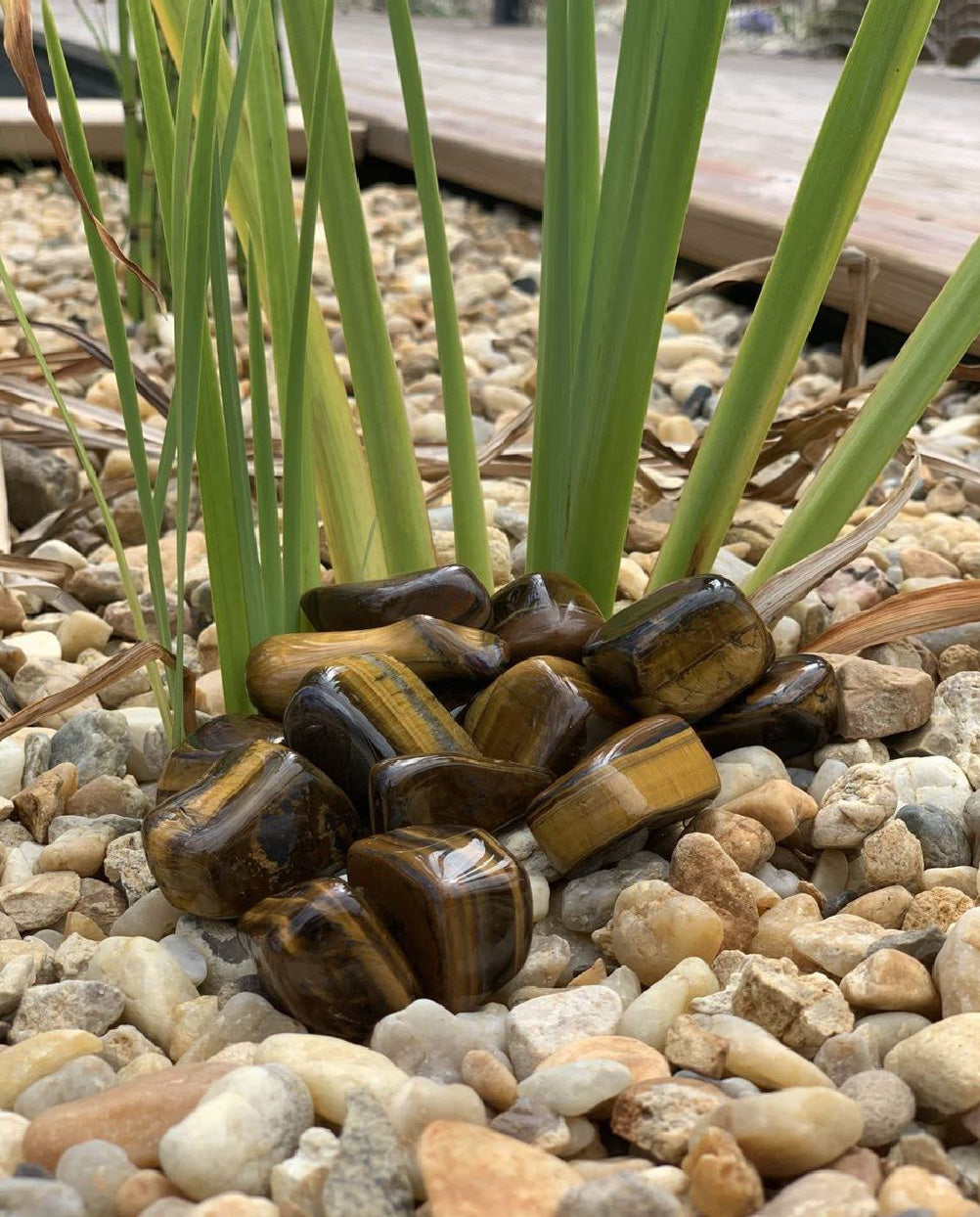 Oeil de Tigre : Protection, courage et force